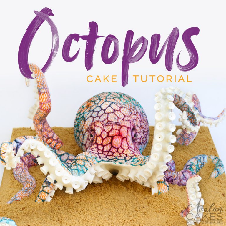 Octopus Cake Tutorial • Avalon Cakes Online School